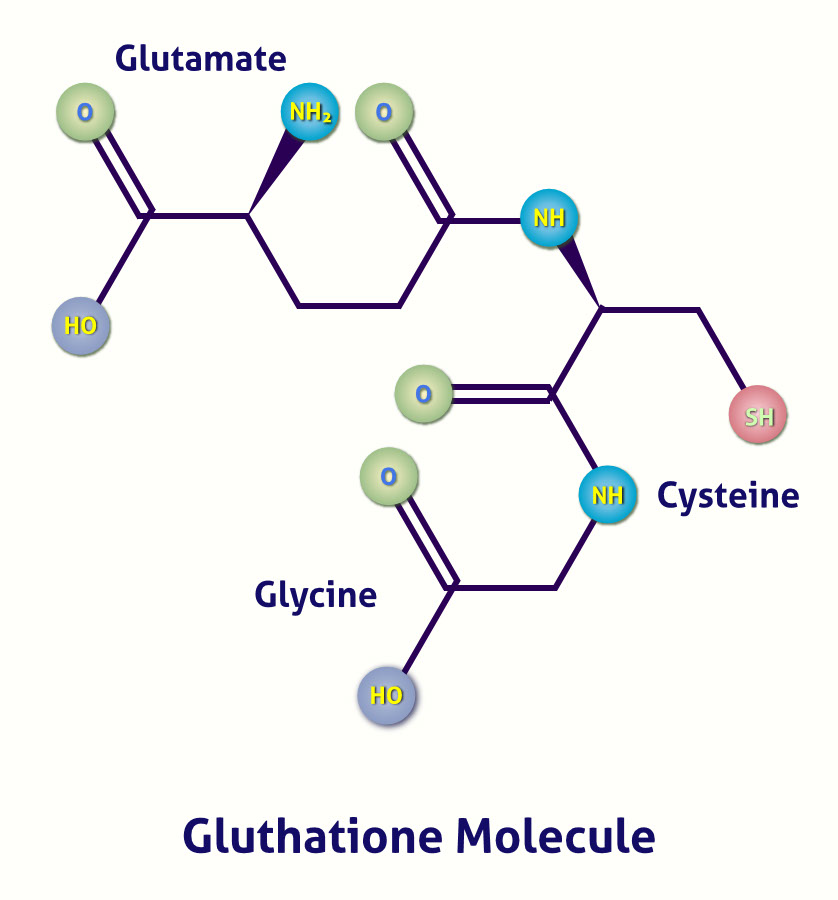 Home [www.glutathione.com]